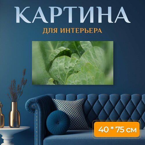 Картина на холсте "Еда, овощи, зеленый" на подрамнике 75х40 см. для интерьера