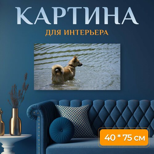 Картина на холсте "Собака, домашний питомец, вода" на подрамнике 75х40 см. для интерьера