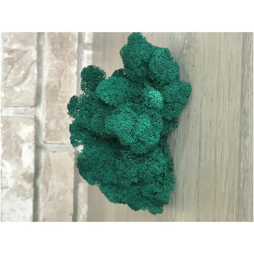 Стабилизированный мох ягель 50 гр бирюзовый (морская волна) / цветной мох для поделок, хобби и творчества / растение для декора, дизайна и озеленения