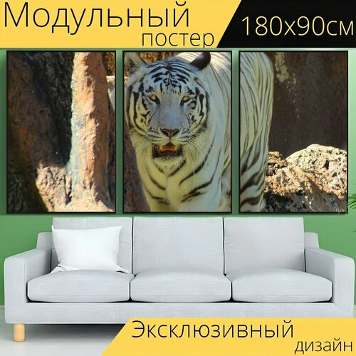 Модульный постер "Тигр, охотится, опасный" 180 x 90 см. для интерьера