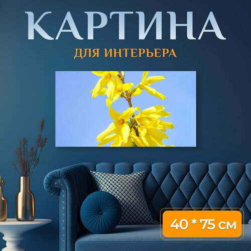 Картина на холсте "Форсайтия, цвести, желтый" на подрамнике 75х40 см. для интерьера