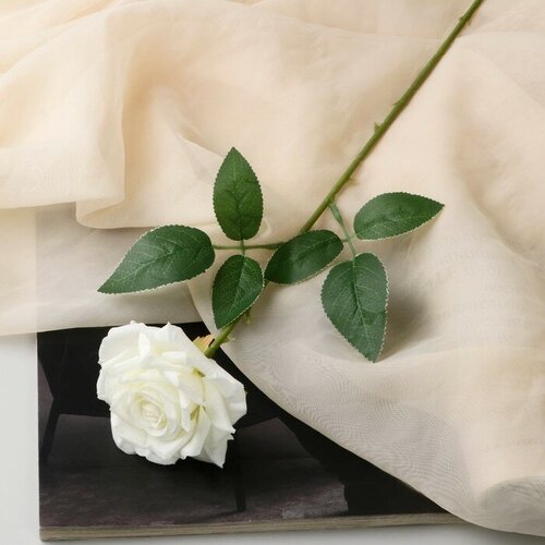 Цветы искусственные Роза Гран При 8х56 см, белый