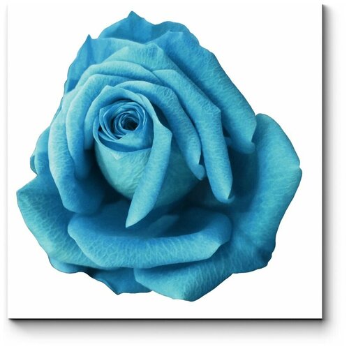 Модульная картина Голубая роза 30x30