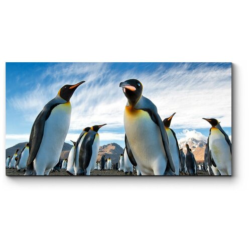 Модульная картина Любопытные пингвины 50x25