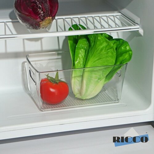 Контейнер для холодильника RICCO, 23,5×13×11 см, цвет прозрачный