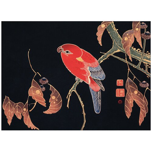 Постер / Плакат / Картина Красный попугай 60х90 см в раме