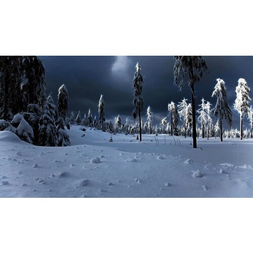 Картина на холсте 60x110 LinxOne "Зима сугробы снег ёлки" интерьерная для дома / на стену / на кухню / с подрамником
