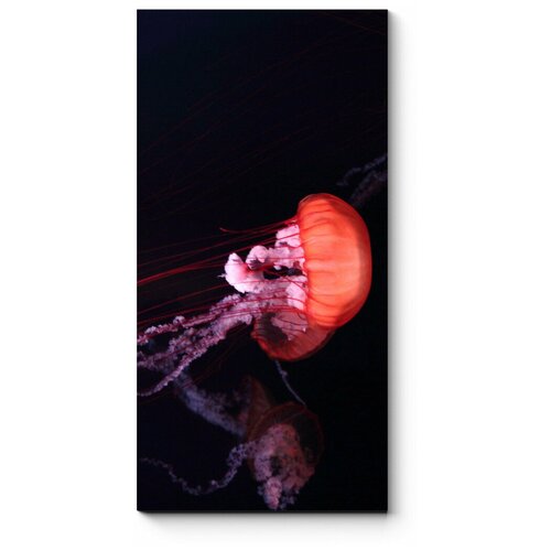 Модульная картина Танец медуз 60x120