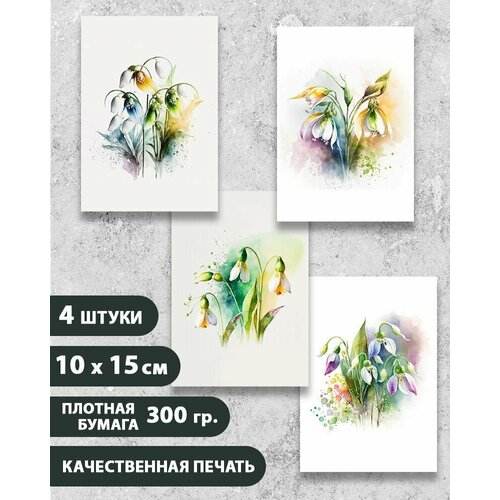 Набор открыток Весенние цветы Галантусы Подснежники, 10.5 см х 15 см, 4 шт, InspirationTime, на подарок и в коллекцию