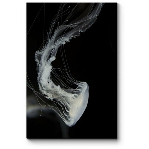 Модульная картина Белая медуза 50x75