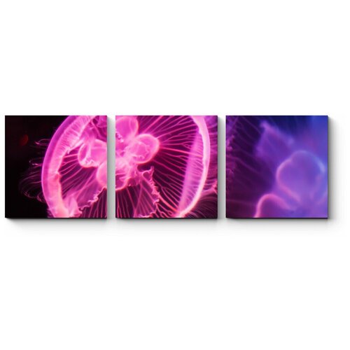 Модульная картина Неоновая медуза 150x50