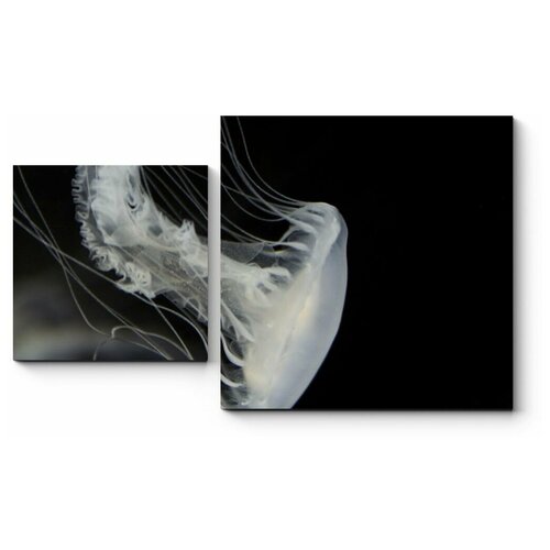 Модульная картина Белая медуза100x60