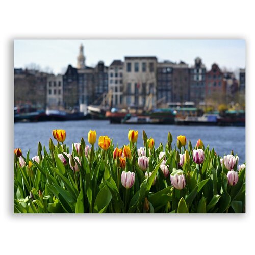 Постер цветы на бумаге / Tulips / Тюльпаны