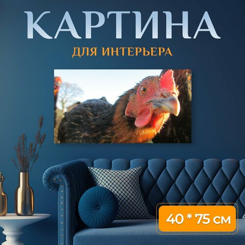Картина на холсте "Курица, птица, животное" на подрамнике 75х40 см. для интерьера