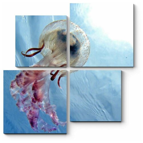 Модульная картина Прекрасная медуза60x60