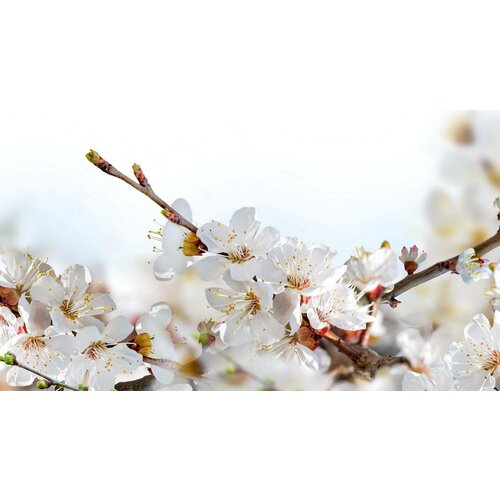 Картина на холсте 60x110 LinxOne "Веточки цветочки весна цветение" интерьерная для дома / на стену / на кухню / с подрамником