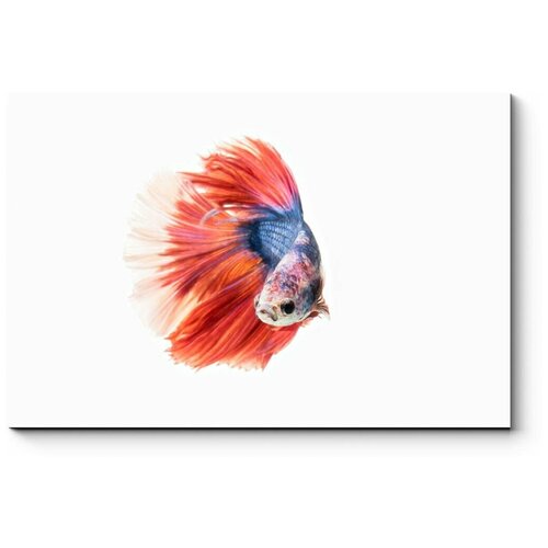 Модульная картина Красно-синяя рыбка 130x87