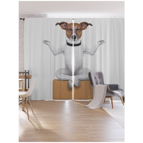 Фотошторы  JoyArty Медитирующий пес на ленте, 170х265 см, 2 шт., белый