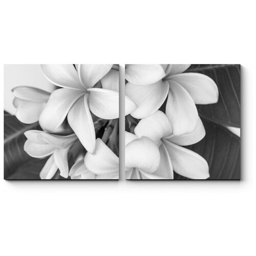 Модульная картина Аромат белых цветов 70x35