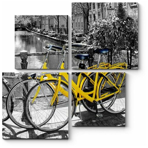 Модульная картина Любимый транспорт амстердамцев 120x120