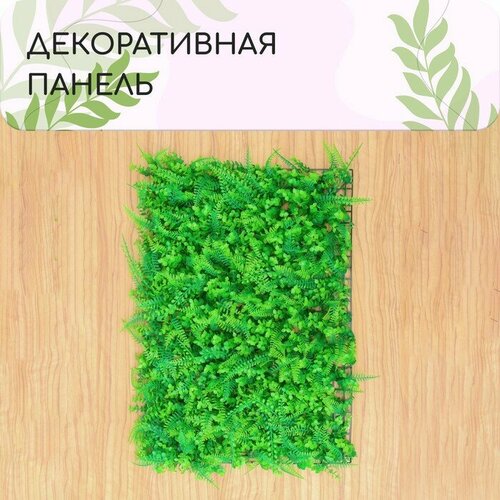 Greengo Декоративная панель, 60 × 40 см, «Самшит, Папоротник»