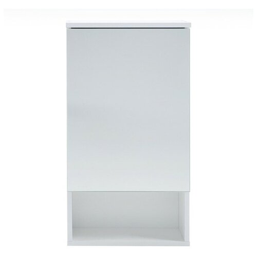 Зеркало-шкаф для ванной комнаты "Вега 5502" белое, 55 х 13,6 х 70 см 4297107
