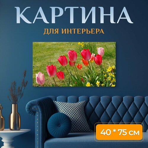 Картина на холсте "Тюльпаны, сад, цветы" на подрамнике 75х40 см. для интерьера