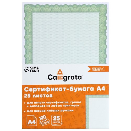 Бумага Calligrata А4 Зеленый орнамент 120 г/м², 25 л, зеленый