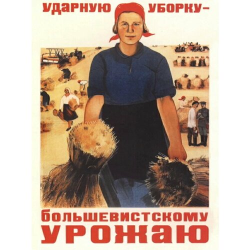 Плакат, постер на бумаге Ударную уборку-большевистскому урожаю/винтажный/ретро. Размер 21 х 30 см
