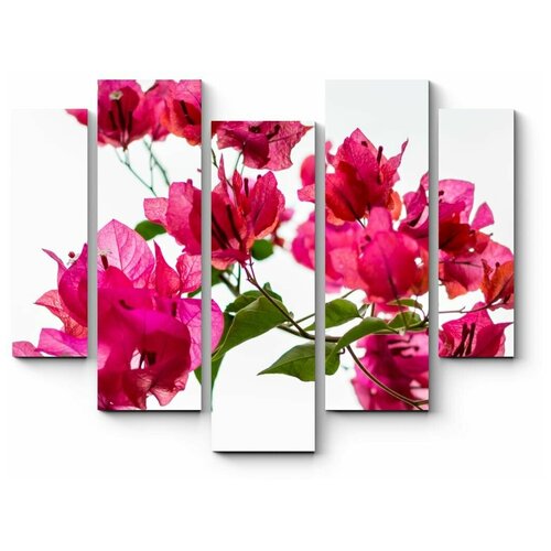 Модульная картина Розовая бугенвиллея 211x171