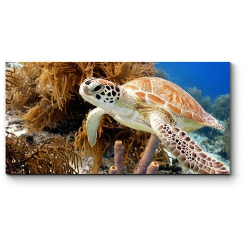 Модульная картина Черепаха, плывущая в коралловом рифе 60x30