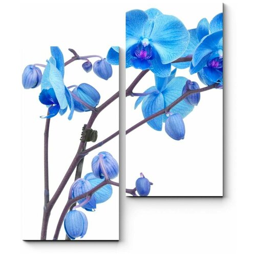 Модульная картина Орхидея небесного цвета80x100