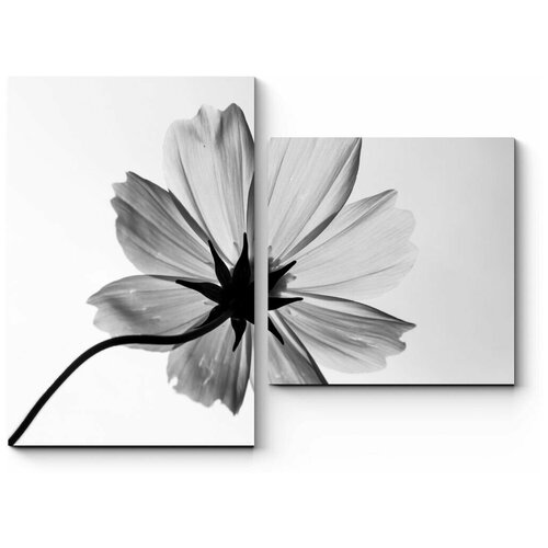 Модульная картина Монохромный цветок 60x45