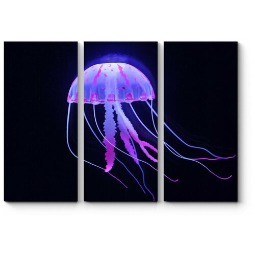 Модульная картина Светящаяся неоновая медуза 160x115