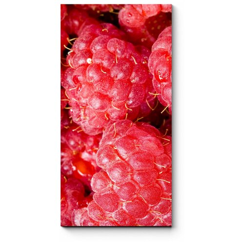 Модульная картина Крупные ягоды малины 90x180