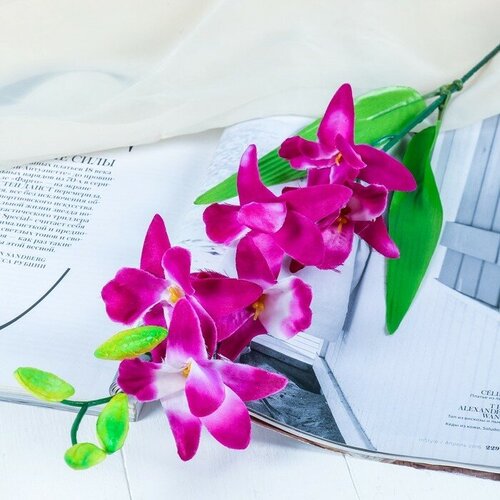 Poetry in flowers Цветы искусственные "Орхидея гастрорхис" 70 см, бело-фиолетовый