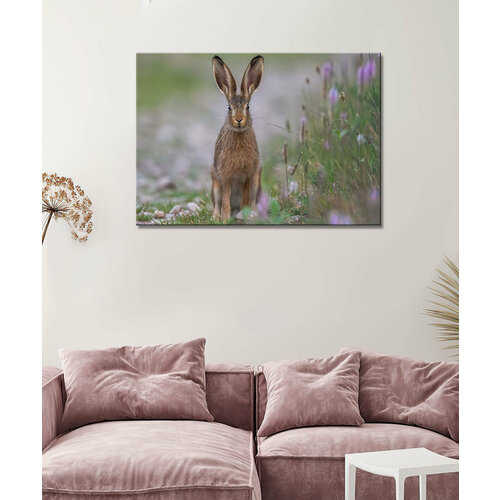 Картина - Заяц, зайцы, зайчонок, зайка, ушастый заяц, пушистый заяц, заяц в лесу, заяц с цветами, заяц в поле (3) 20х30
