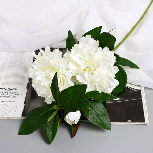 Poetry in flowers Цветы искусственные "Пион снежный пик" d-14 см 61 см, белый