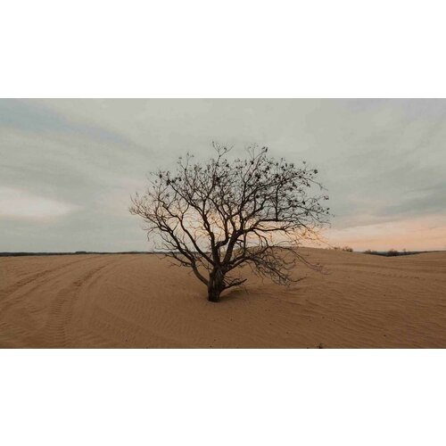 Картина на холсте 60x110 LinxOne "Дерево, пустыня, песок, сухой" интерьерная для дома / на стену / на кухню / с подрамником