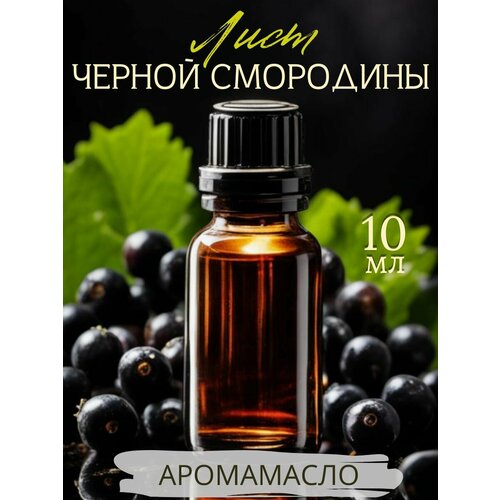 Ароматическое масло с капельницей Лист чёрной смородины 10 мл AROMAKO, для диффузоров, увлажнителей, ароматерапия