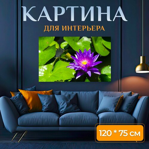 Картина на холсте "Водяная лилия, цветок, завод" на подрамнике 120х75 см. для интерьера