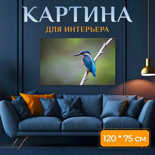 Картина на холсте "Зимородок, птица, филиал" на подрамнике 120х75 см. для интерьера