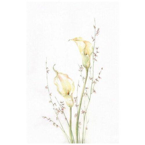 Постер на холсте Белые цветы (White flowers) №2 50см. x 77см.
