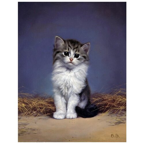 Репродукция на холсте Котенок (Kitten) №1 Бэмбер Бэсси 40см. x 52см.