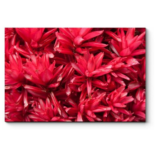 Модульная картина Красные тропические цветы50x33
