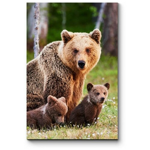 Модульная картина Семья очаровательных медведей 60x90