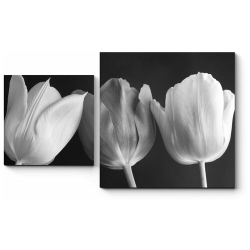 Модульная картина Монохромные тюльпаны 100x60