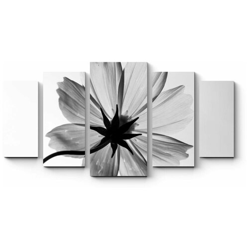 Модульная картина Монохромный цветок 100x55