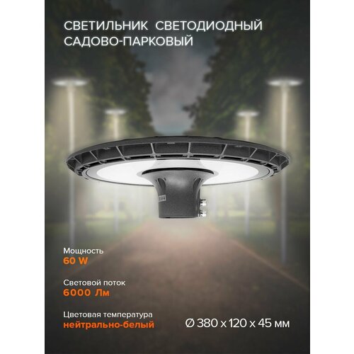 Светильник светодиодный садово-парковый Jazzway PGL 04 60w 5000K