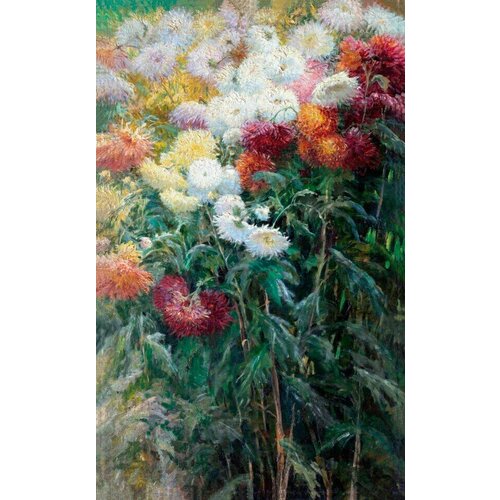 Плакат, постер на бумаге Chrysanthemums in the garden/Хризантемы в саду-Петит Лайерс. Размер 30 на 42 см